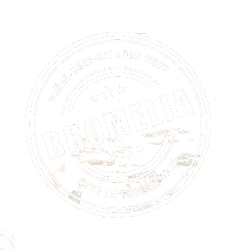 INICIO - bromeliatree.com